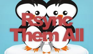 elftronix.com – David Elfering